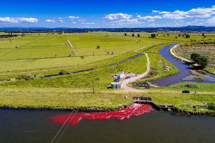 Kaituna River Mixing Study - River Lake